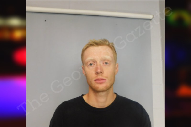 Mathew Taber — Hall County Jail Bookings