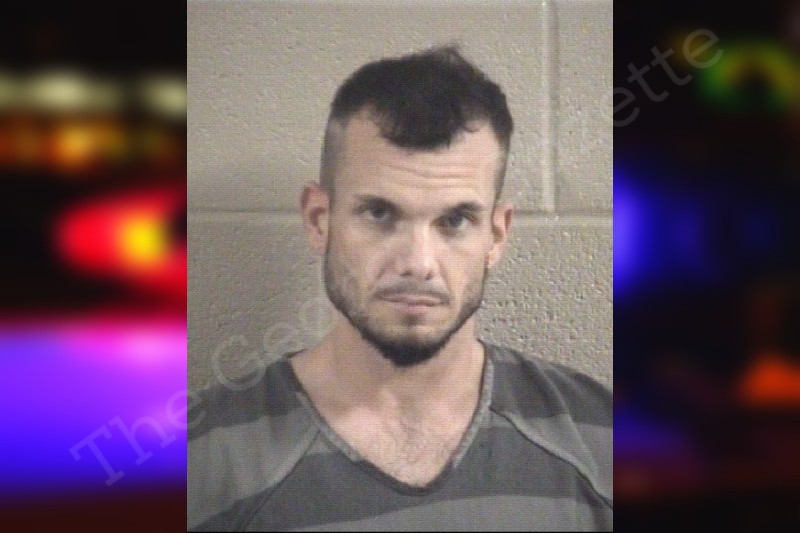 Brandon Williams — Whitfield County
