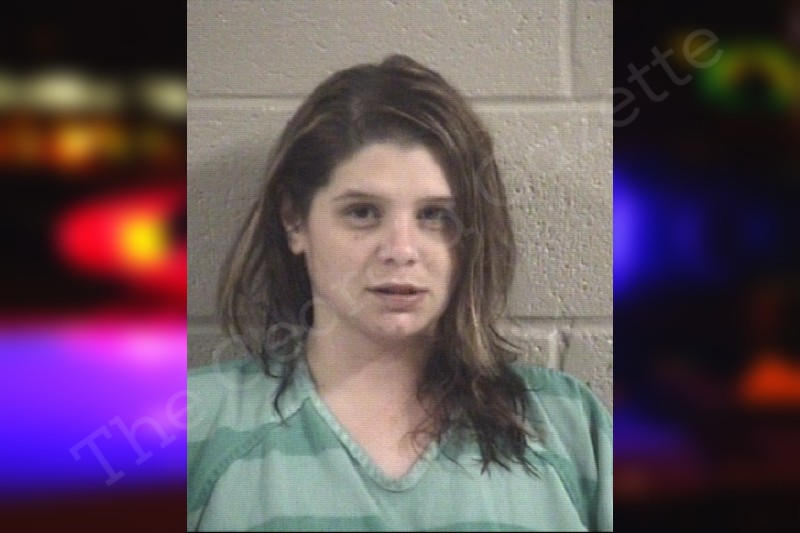 Whitney White — Whitfield County Jail Bookings