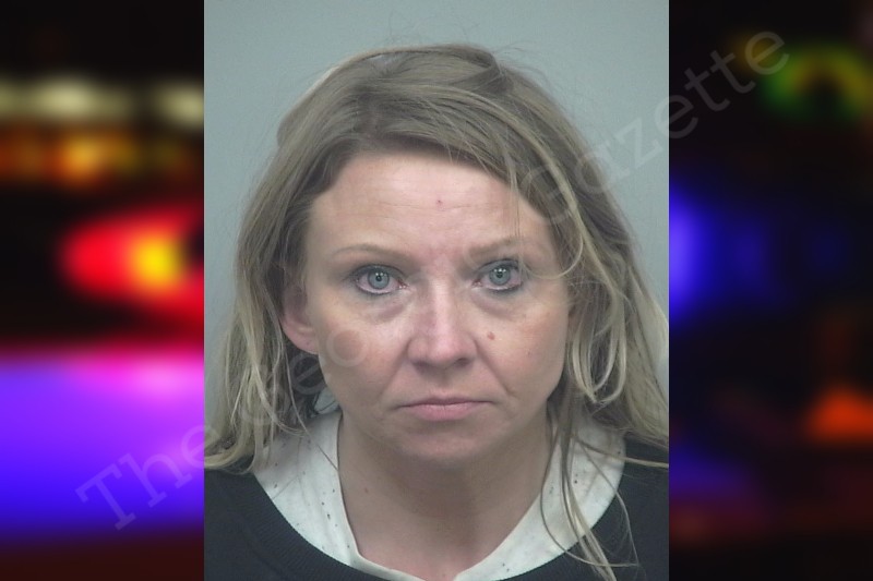Danielle Anderson — Gwinnett County Jail Bookings