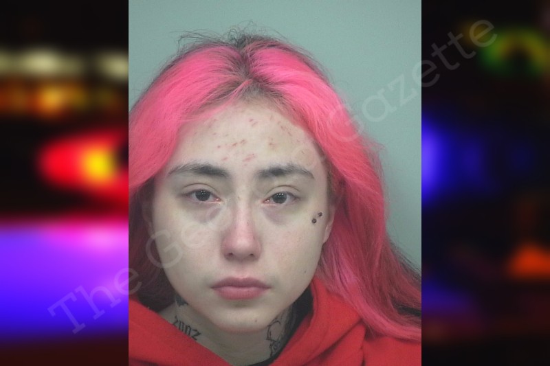 Kimberly Arroyo-Jacobo — Gwinnett County Jail Bookings