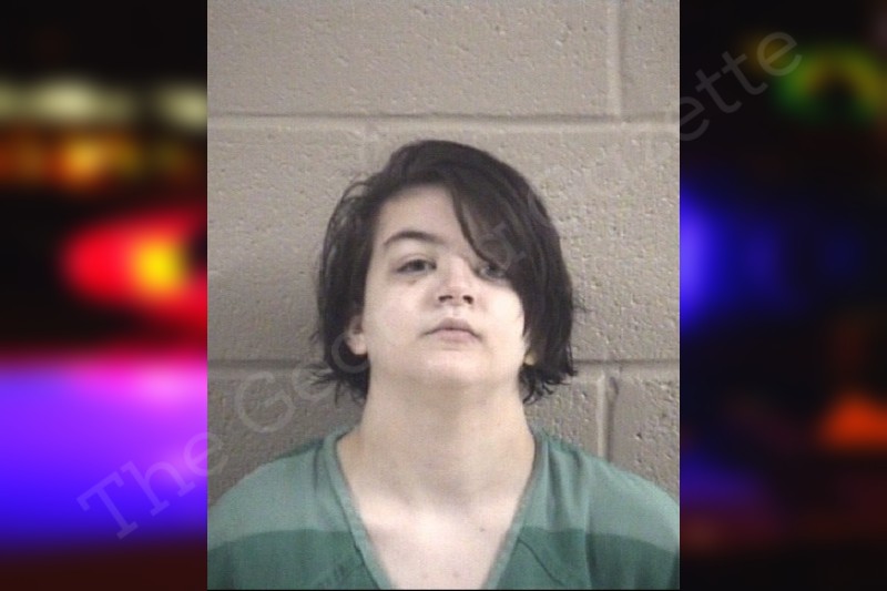 Alexis Ramsey — Whitfield County Jail Bookings