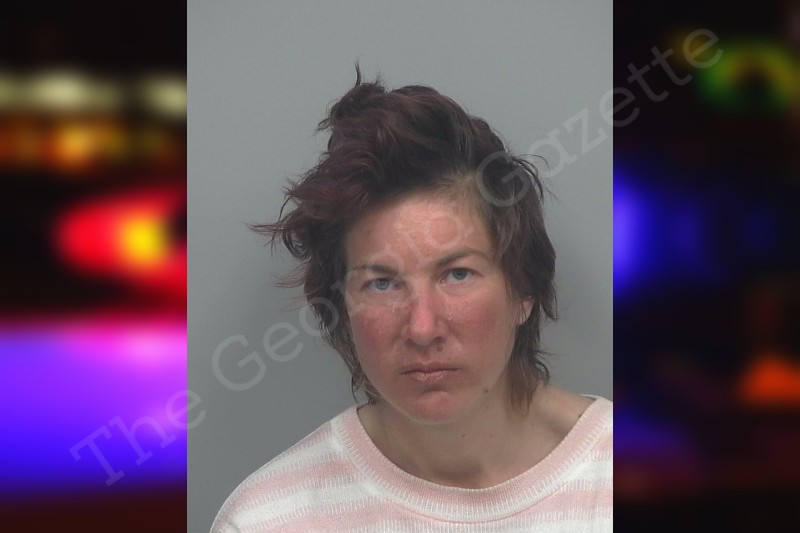 Megan Berlinger — Gwinnett County Jail Bookings