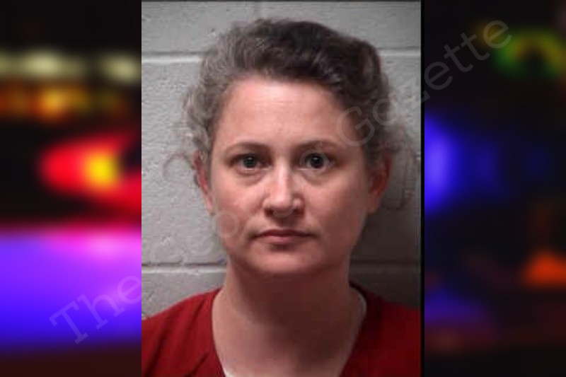 Jessica Blake — Henry County Jail Bookings