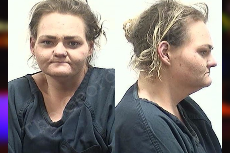Brittany Blevins — Clarke County Jail Bookings