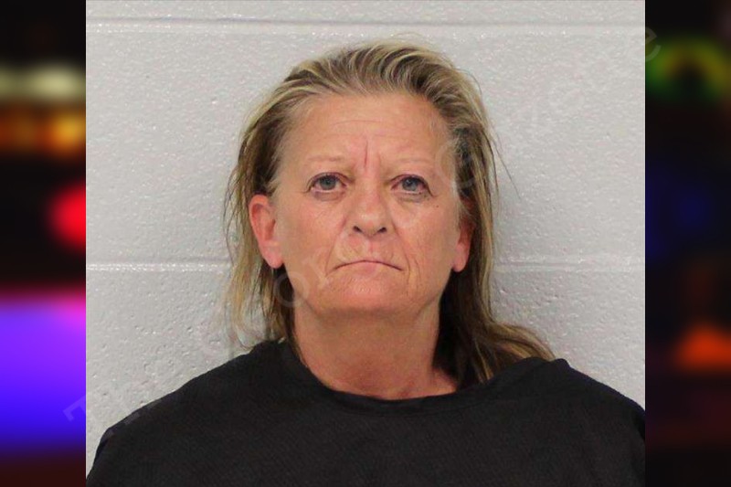 Stephanie Bryant — Carroll County Jail Bookings