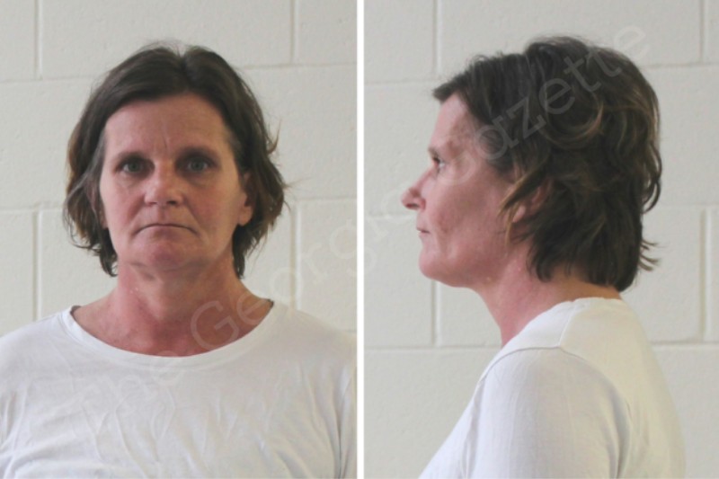 Brenda Baldwin — Houston County Jail Bookings