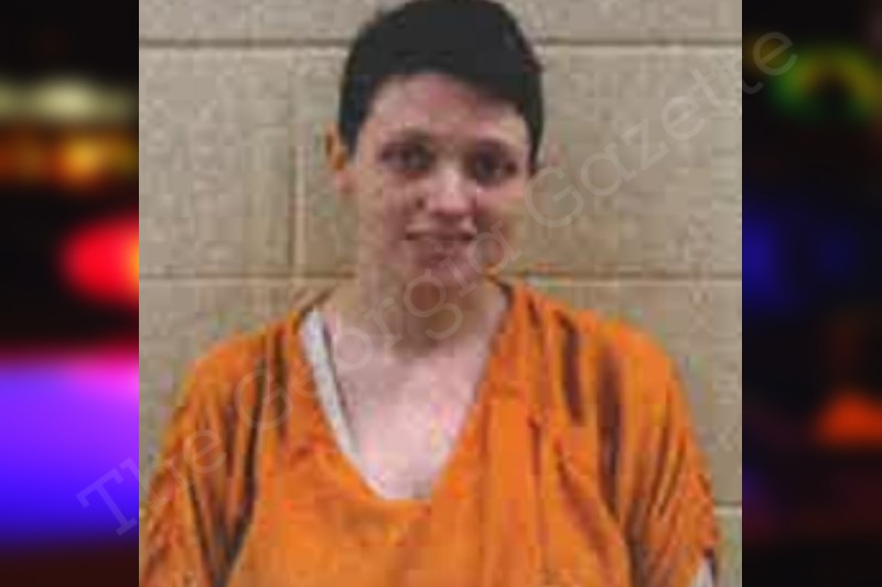 Ansley Bruce — Pickens County Jail Bookings