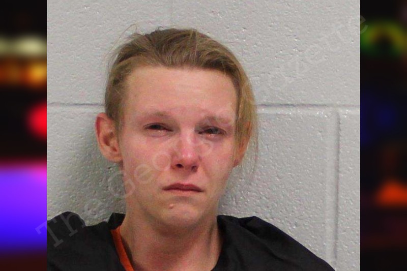 Dorothy Cates — Carroll County Jail Bookings