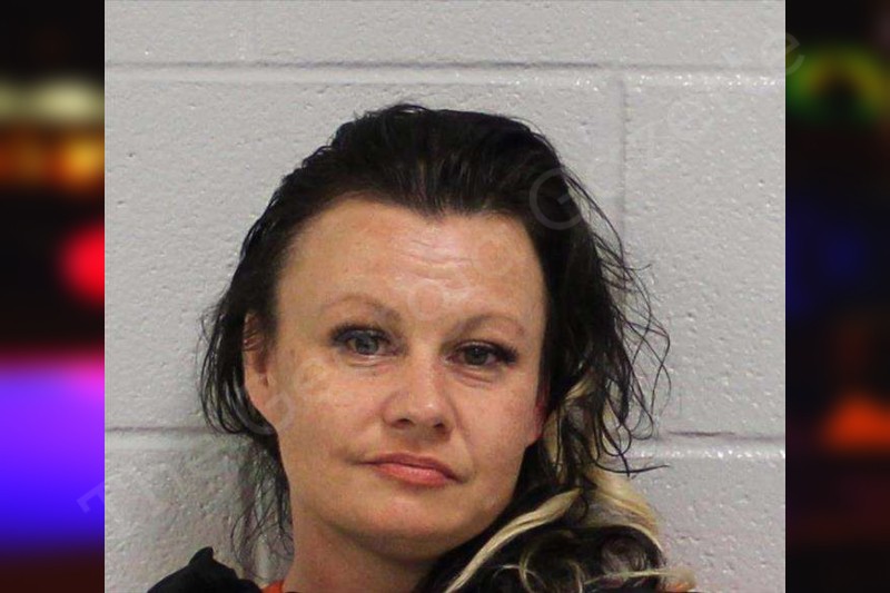 Amber Cole — Carroll County Jail Bookings