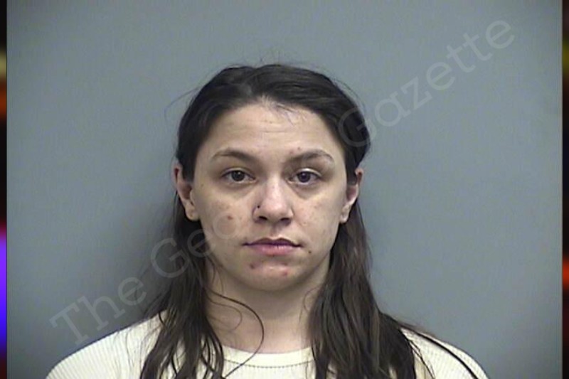 Chelsea Cook — Effingham County Jail Bookings