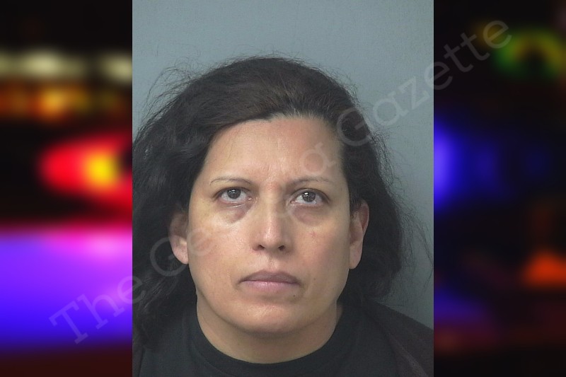 Maria Coria Gonzalez | Gwinnett County Jail Bookings