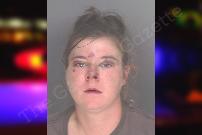 Amber Crouse — Douglas County Jail Bookings