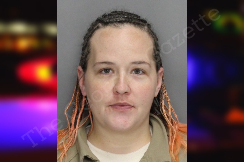 Rebecca Cleveland — Cobb County Jail Bookings