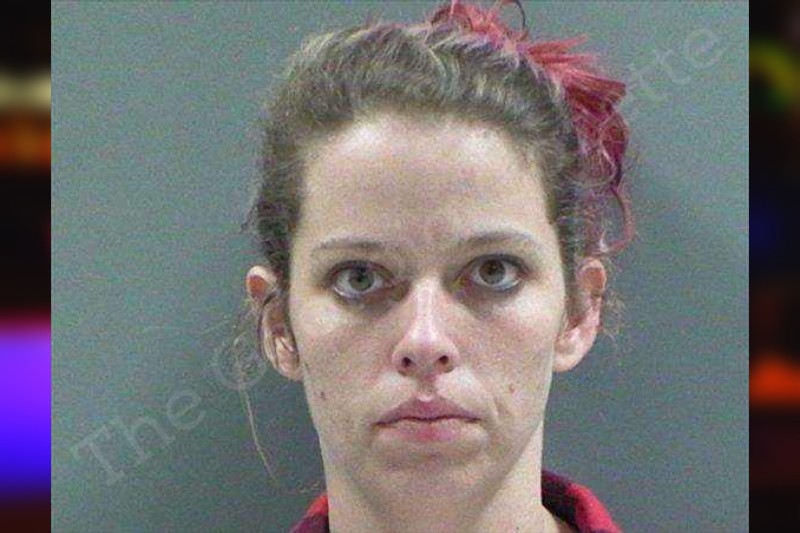 Tia Day — Rabun County Jail Bookings