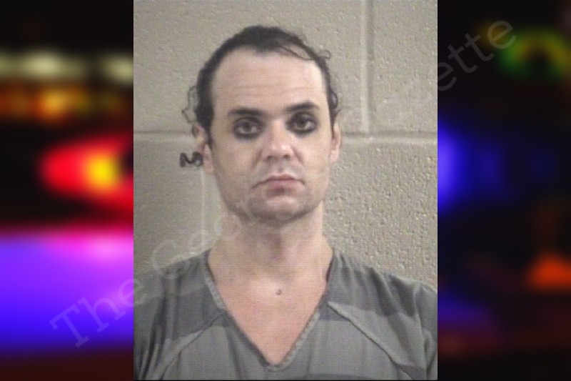 Daniel Widener | Whitfield County