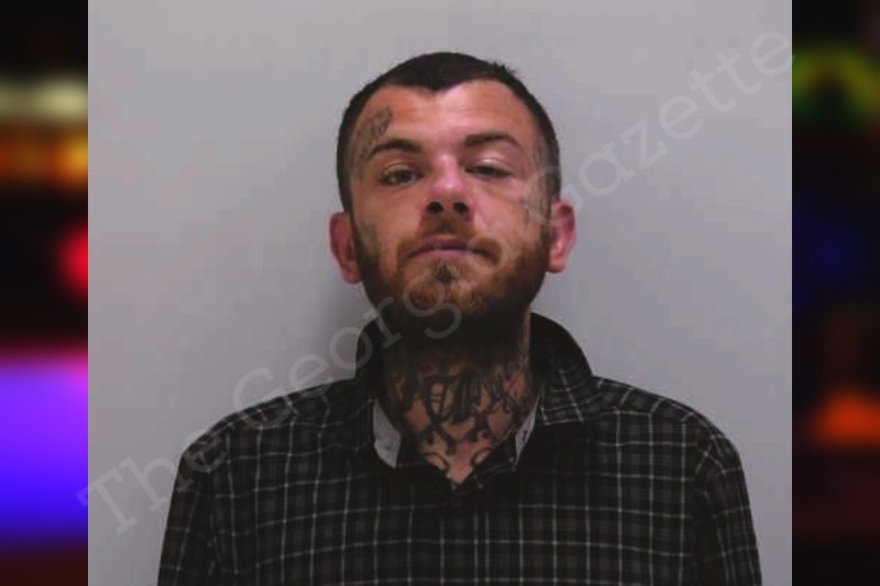 Joseph Dillard — Bartow County Jail Bookings