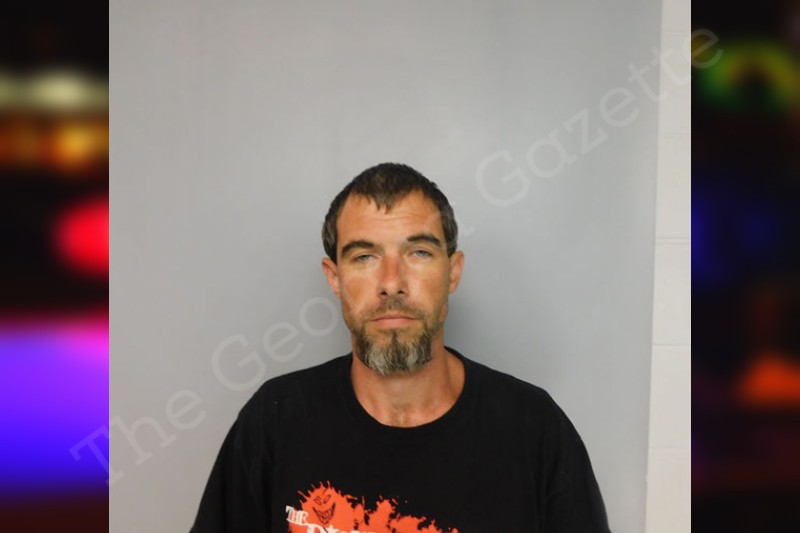 Anthony Finazzo — Hall County Jail Bookings