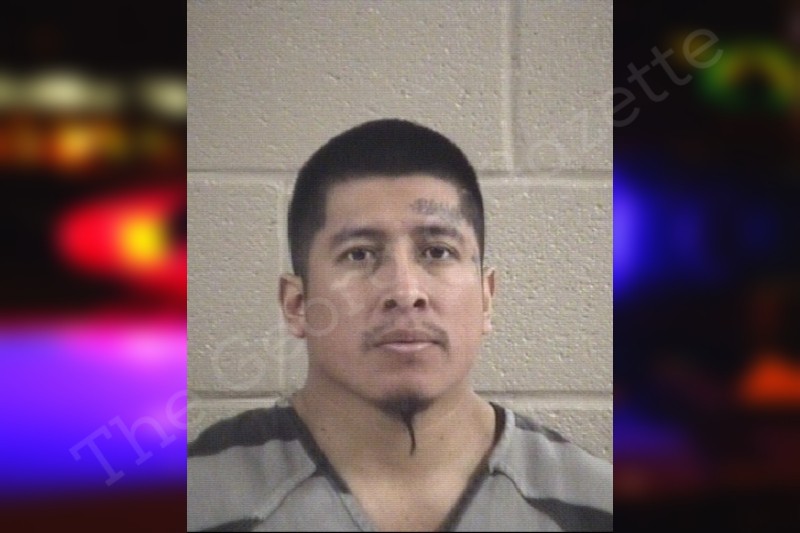 Francisco Matias — Whitfield County Jail Bookings