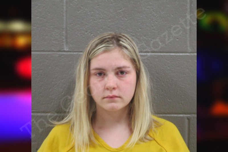 Faith Scott — Banks County Jail Bookings