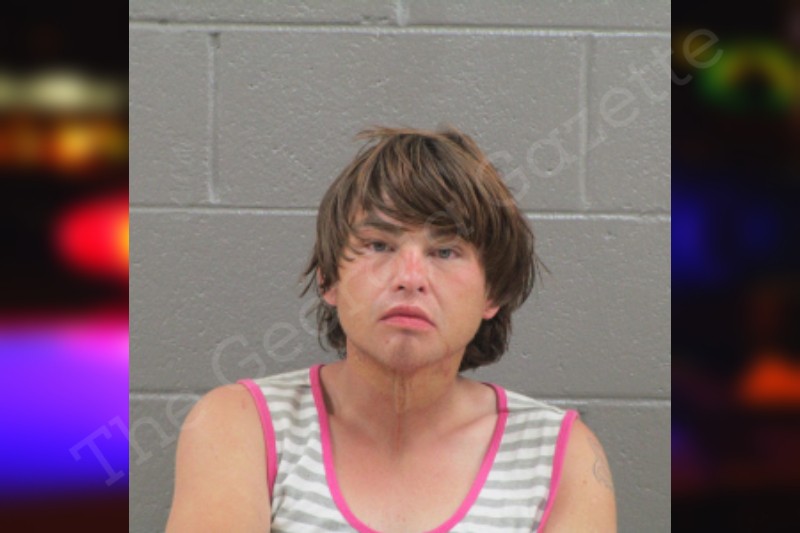 Dylan Watson | Banks County Jail Bookings