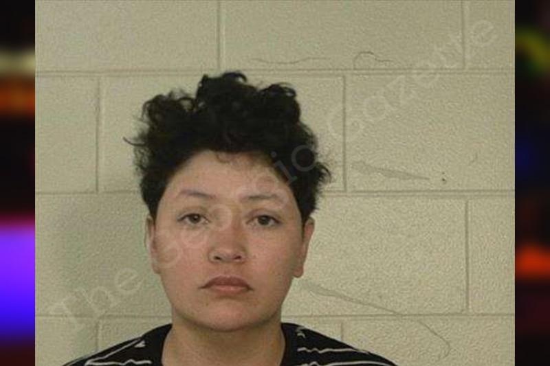 Isabel Gamez — Liberty County Jail Bookings