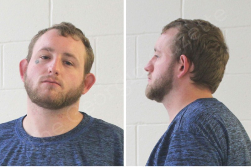 James Goulding — Houston County Jail Bookings