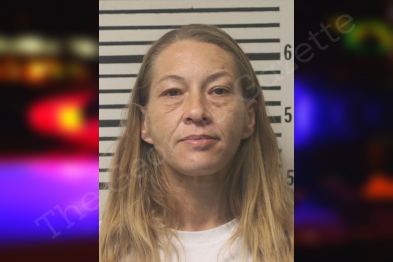 Jessica Hitchcock — Toombs County Jail Bookings