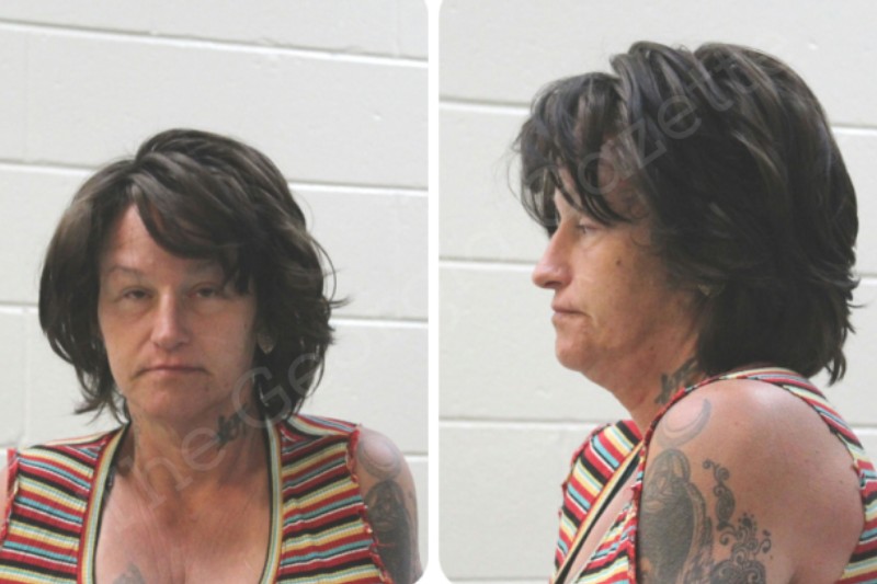 Denise Hardman — Houston County Jail Bookings
