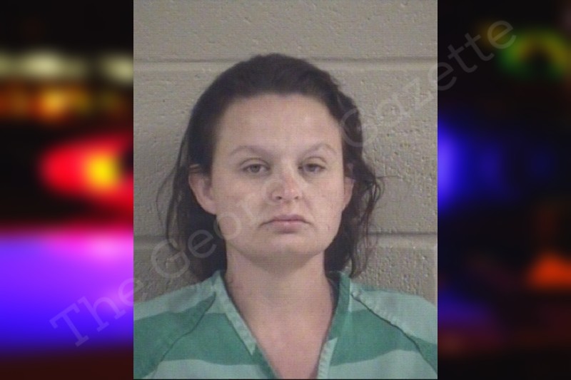 Heather Ray — Whitfield County Jail Bookings
