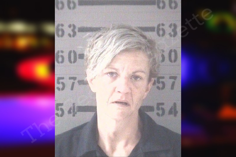 Donna Higgins — Dougherty County Jail Bookings