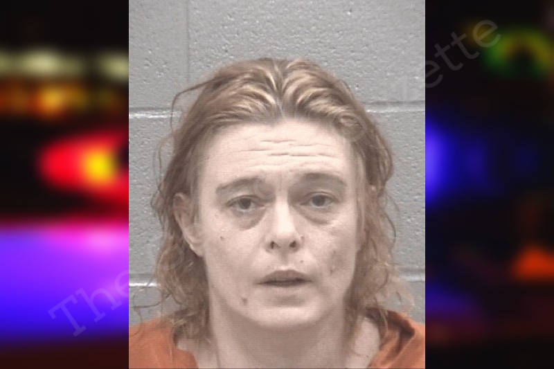 Amanda Holley — Columbia County Jail Bookings