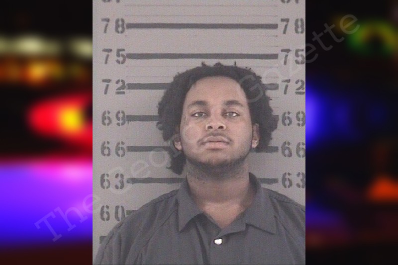 Ronald Isaac — Dougherty County Jail Bookings