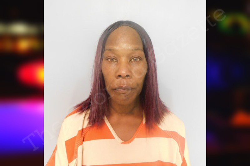 Michelle Jackson — Hall County Jail Bookings