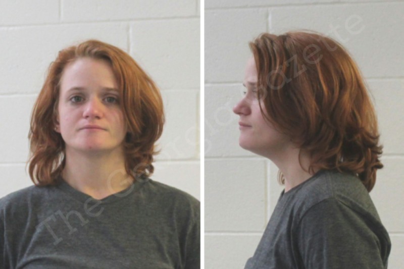 Tika Johns — Houston County Jail Bookings