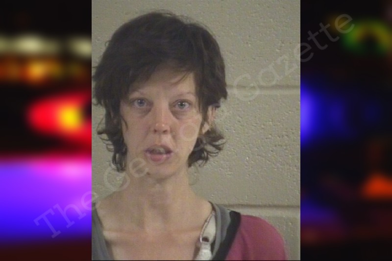 Kayla Bailey — Whitfield County Jail Bookings