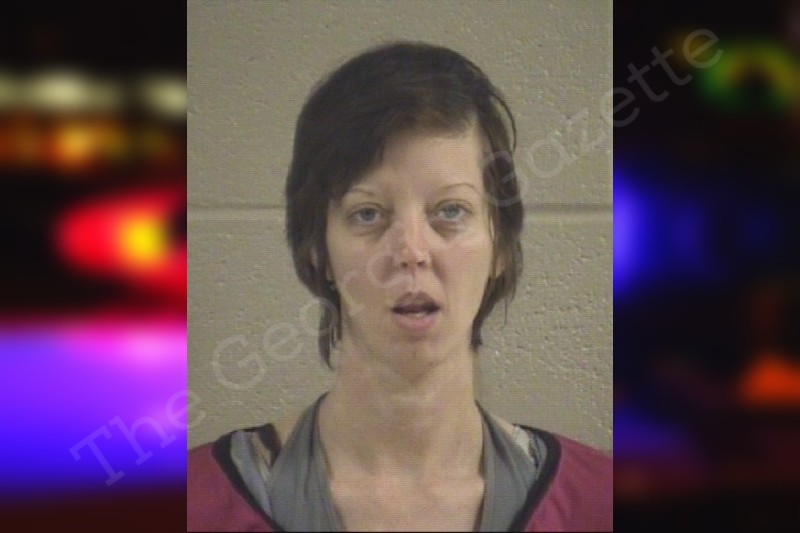 Kayla Bailey — Whitfield County Jail Bookings