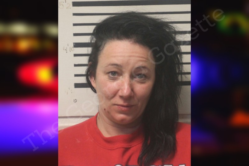 Amanda Lynn — Toombs County Jail Bookings