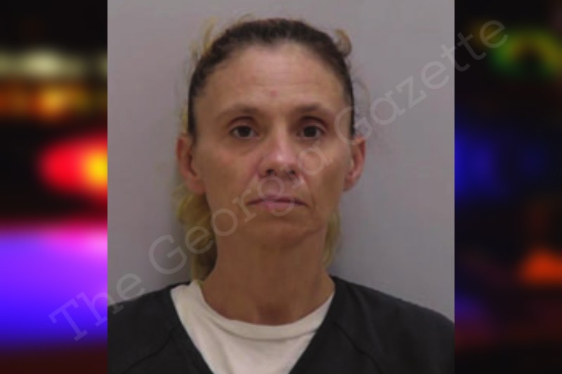 Christy Lewis — Bartow County Jail Bookings