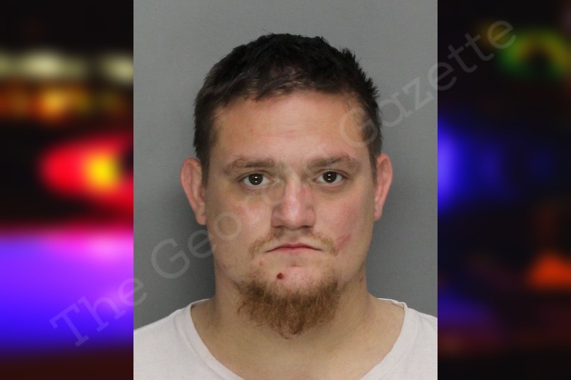 Brian Logan — Cobb County Jail Bookings