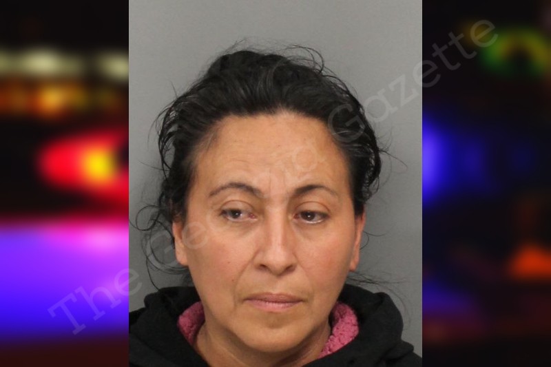 Delfina Lopez — Cobb County Jail Bookings