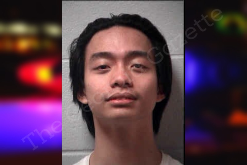 Johnny Mai — Henry County Jail Bookings