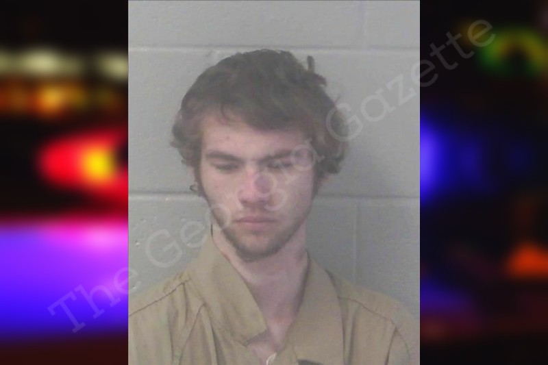Dylan Mann — Newton County Jail Bookings