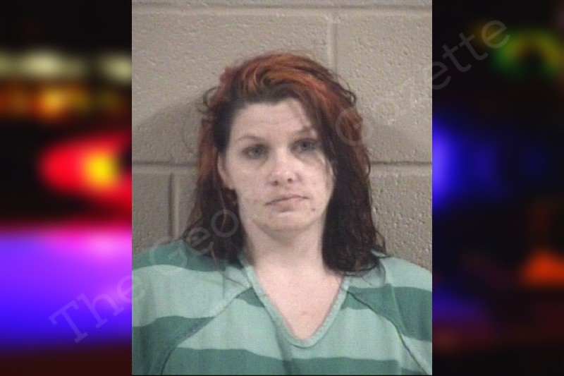 Maegan Thompson — Whitfield County Jail Bookings