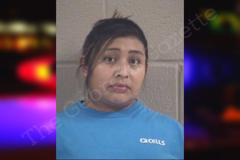 Maria Vasquez-Ramirez — Whitfield County Jail Bookings