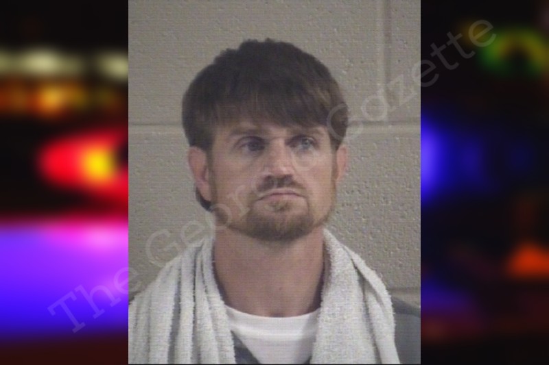 Michael Leamon — Whitfield County Jail Bookings