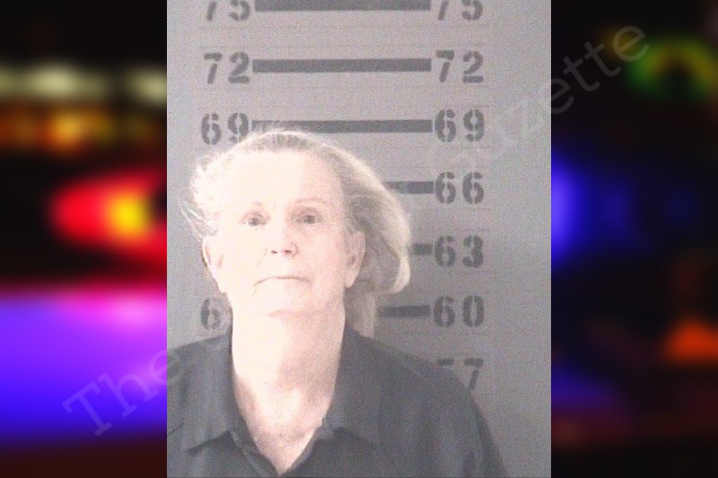 Deborah Minor — Dougherty County Jail Bookings