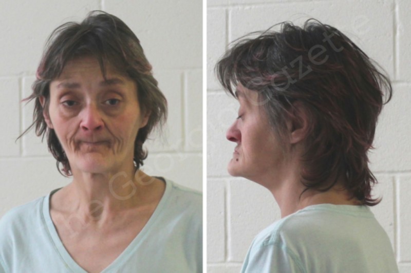 Veronica Moniz — Houston County Jail Bookings