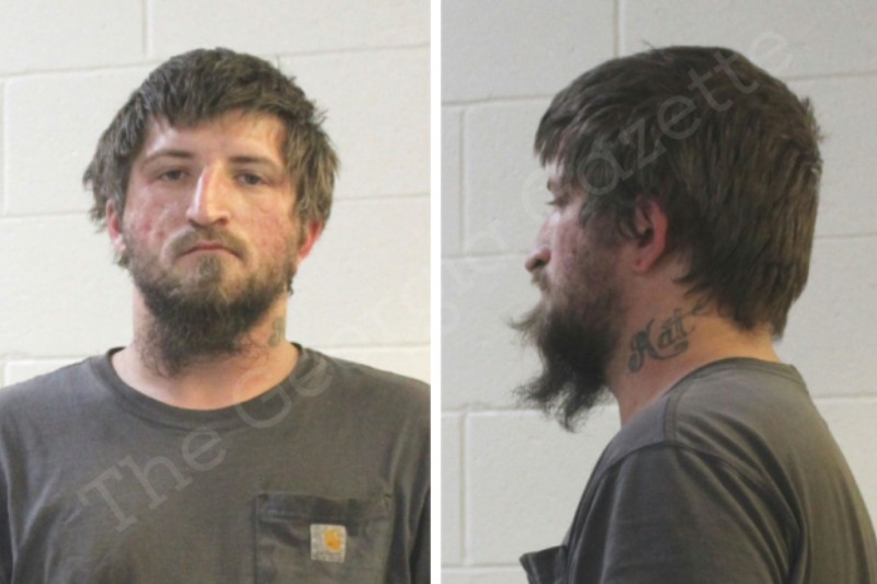 Dakota Morrison — Houston County Jail Bookings