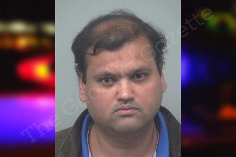 Hardik Patel — Gwinnett County Jail Bookings